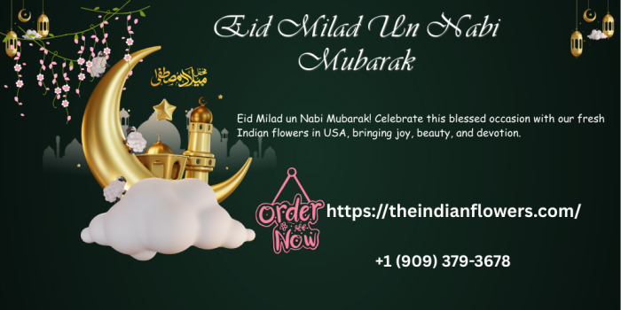 Milad un Nabi in USA – Celebrating with Devotion and unity.